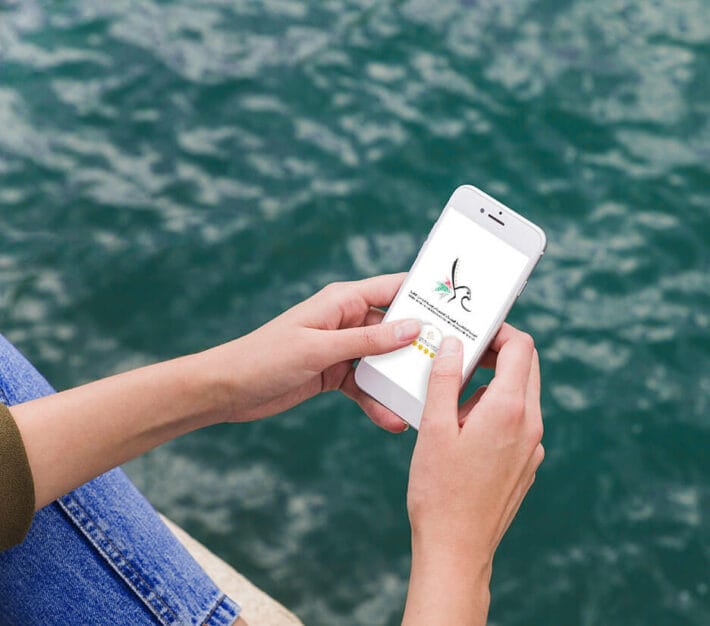 ICP Smart Services UAE: Visa Status - Emirates ID Updates